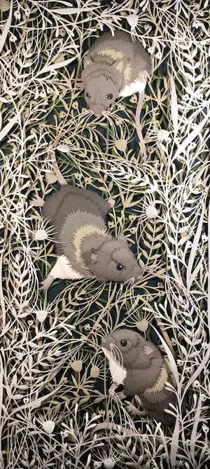 Paper cutting art Gallery — ANNA COOK PAPERART