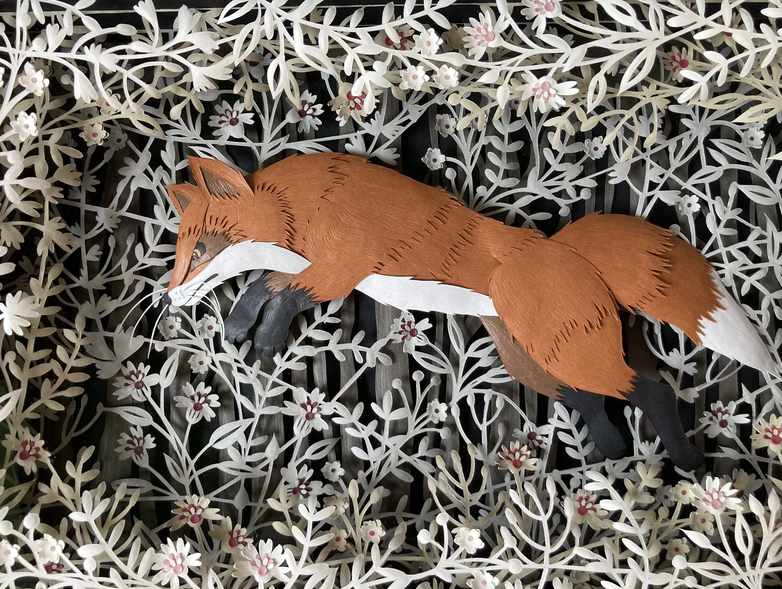 Paper cutting art shop — ANNA COOK PAPERART