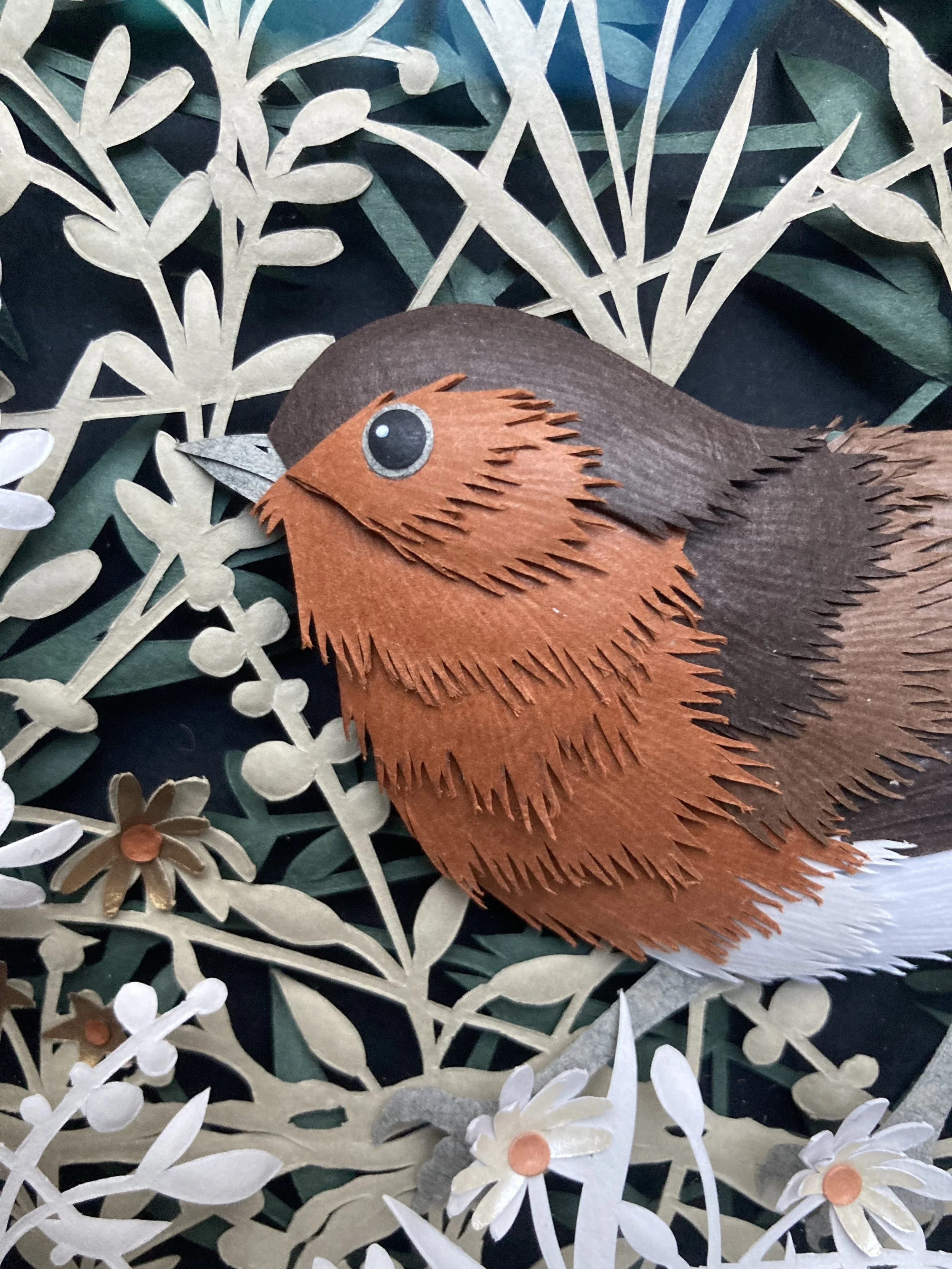 Paper cutting art shop — ANNA COOK PAPERART