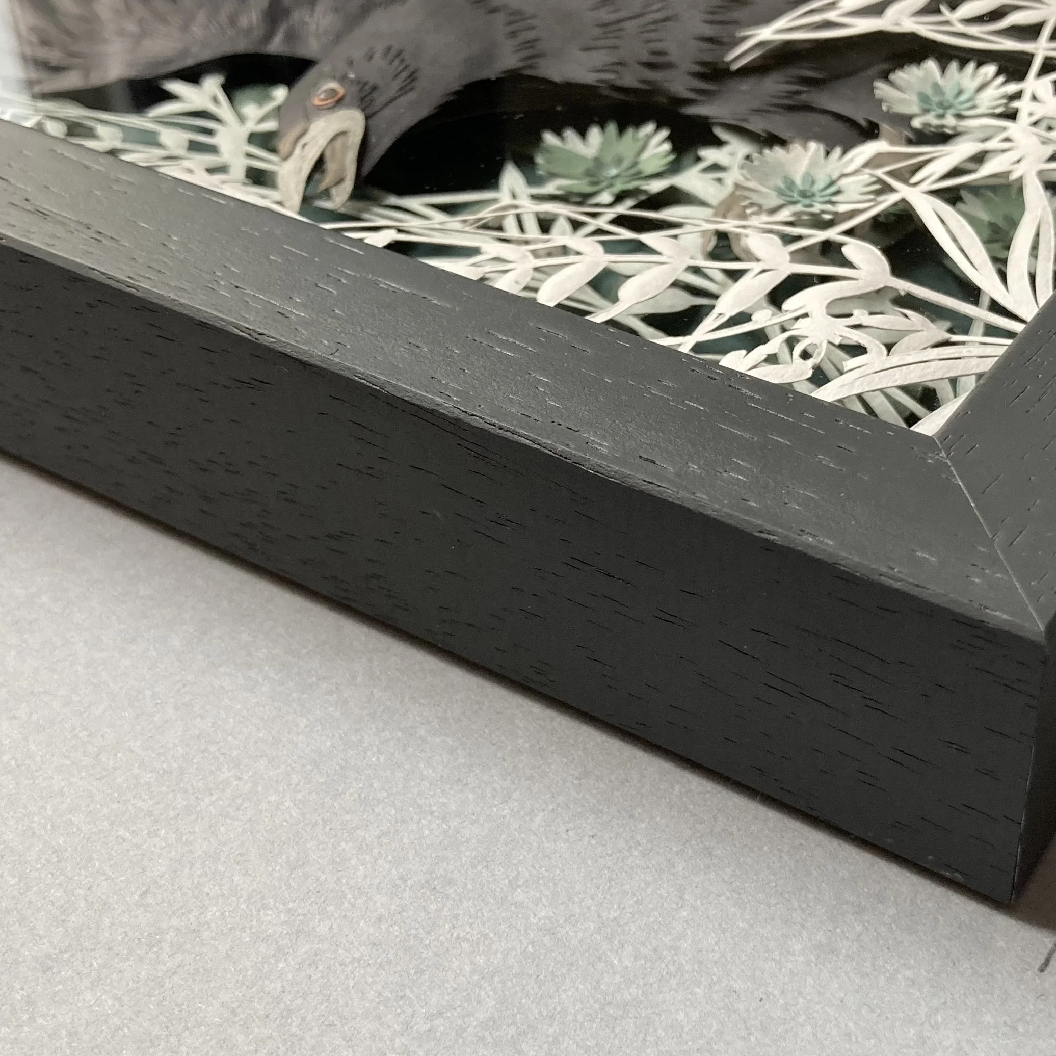 Paper cutting art shop — ANNA COOK PAPERART