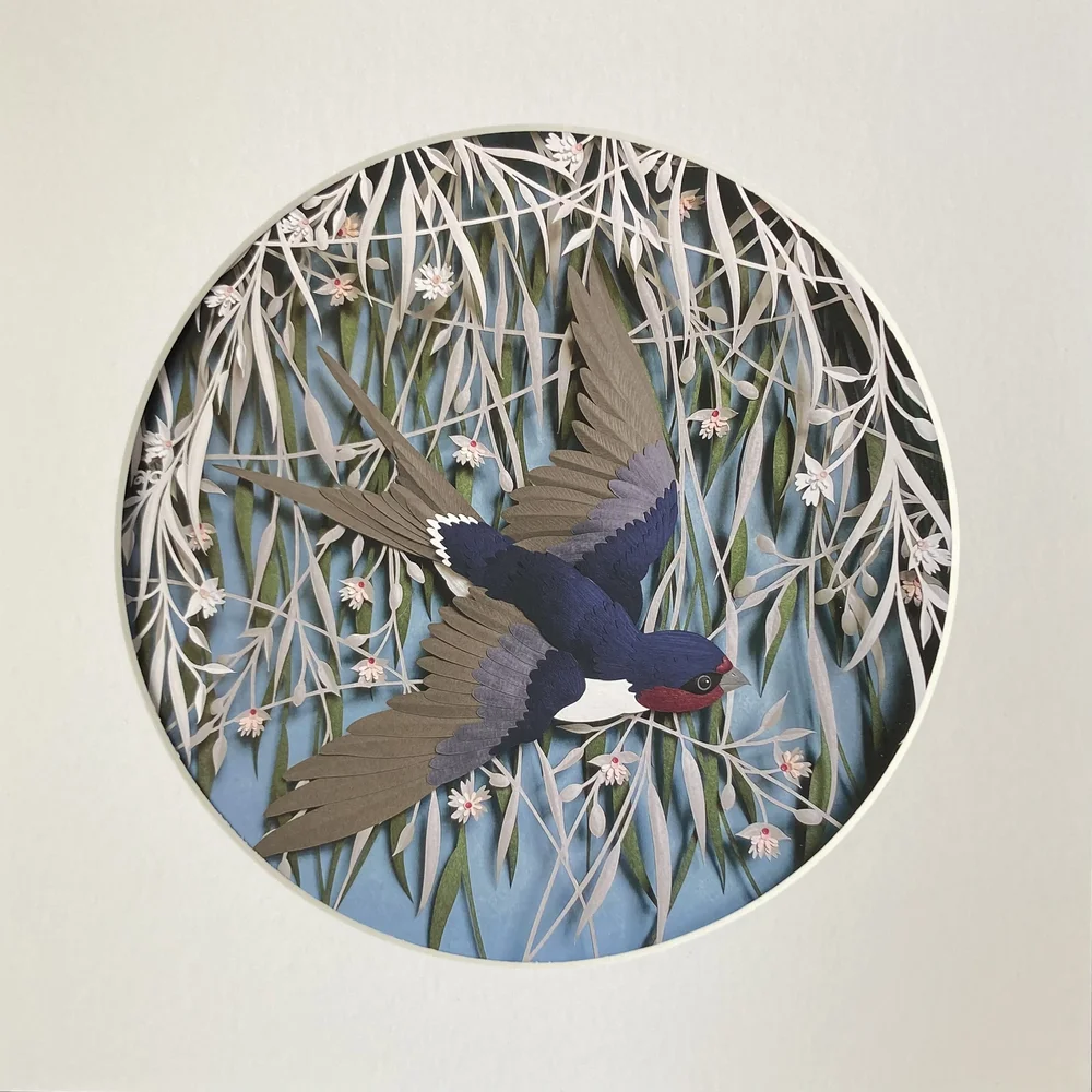 Paper cutting art shop — ANNA COOK PAPERART