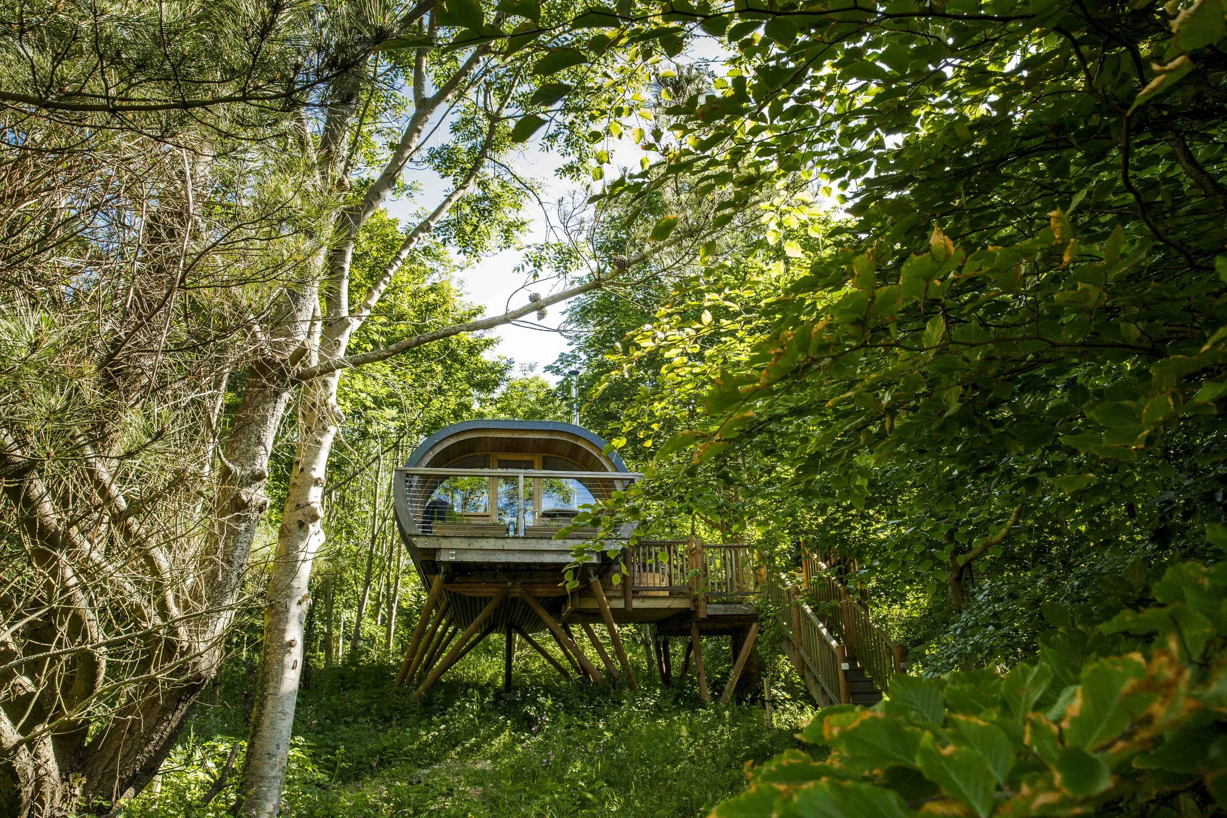 Luxury Treehouse for 2 with private hot tub | The Hideaway — PICKWELL ...