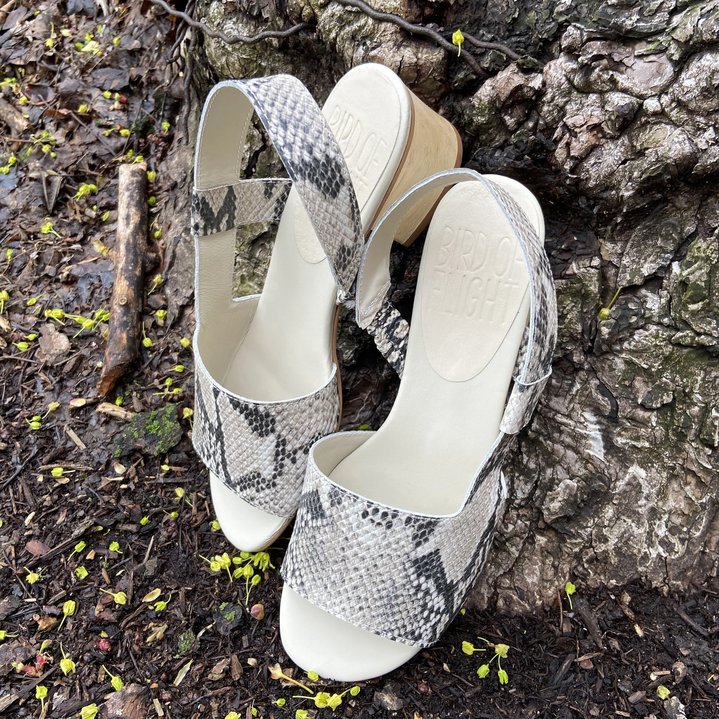 Sandals — A Pied Shoe Boutique