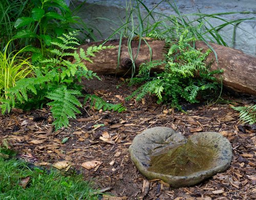 Create your own naturalized log planter — FERNS & FEATHERS