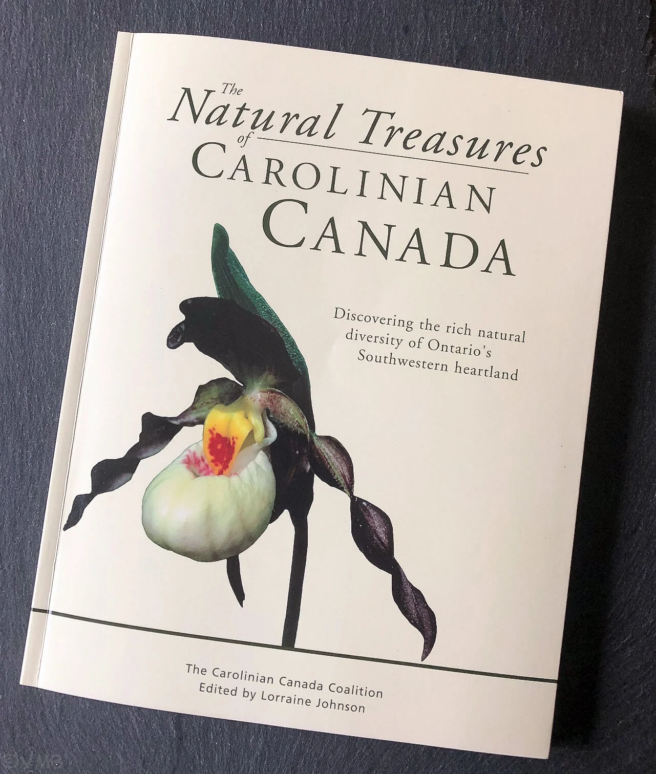 Carolinian Canada zone and how Woodland gardeners can help — FERNS ...