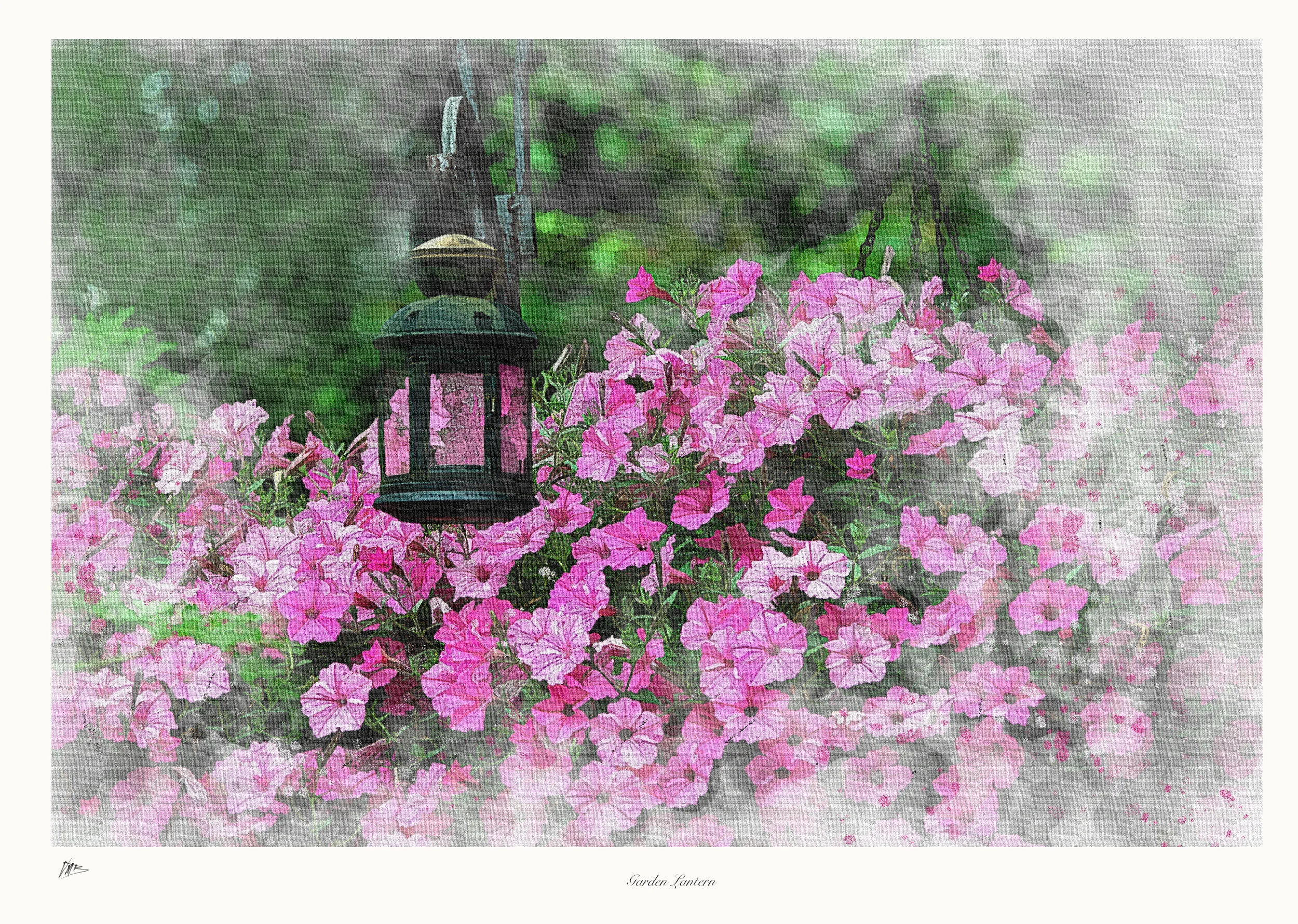 Hanging baskets: Simple designs ensure success with Supertunias — FERNS ...
