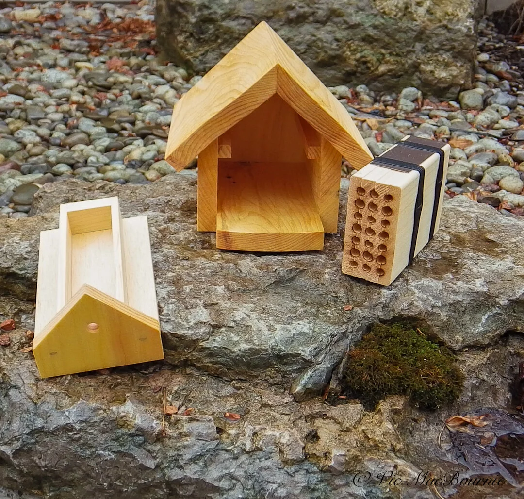 WeeBeeHouse and tips to attract native, solitary bees to your garden ...