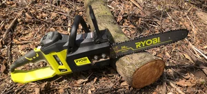 Battery-powered tools beat gas power in the garden — FERNS & FEATHERS