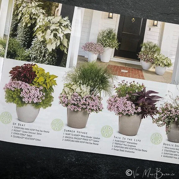 Proven Winners Gardener's Idea Book is ideal for beginner gardeners ...