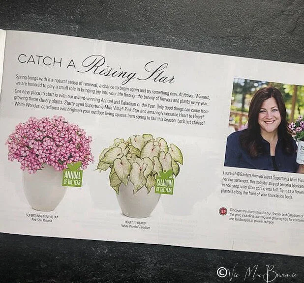 Proven Winners Gardener's Idea Book is ideal for beginner gardeners ...