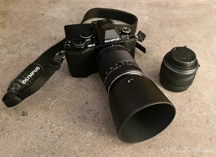 Olympus E-M10 at home in the garden, woodlands and on vacation — FERNS ...