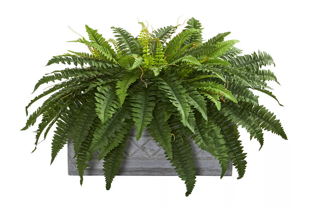 Fall gifts and ideas for home and garden — FERNS & FEATHERS