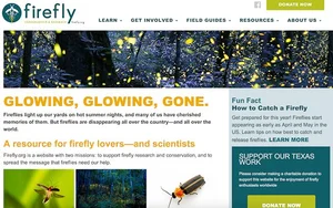 How to bring the magic of fireflies to your woodland garden — FERNS ...