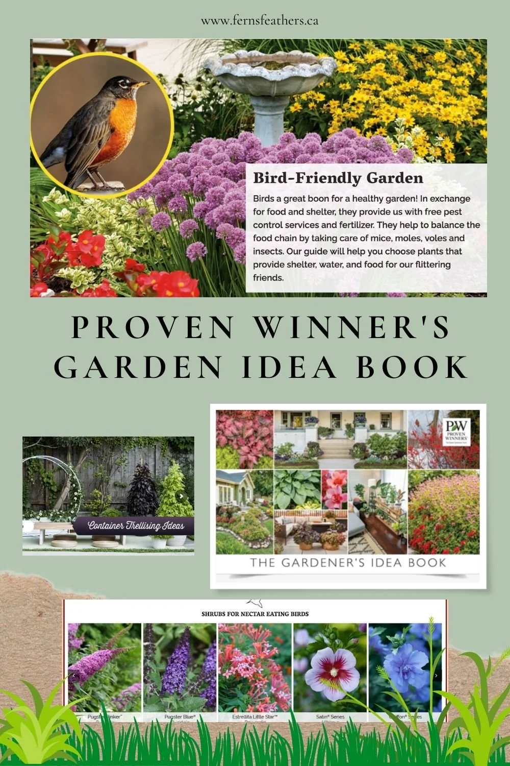Proven Winners Gardener's Idea Book is a hit in 2023 — FERNS & FEATHERS