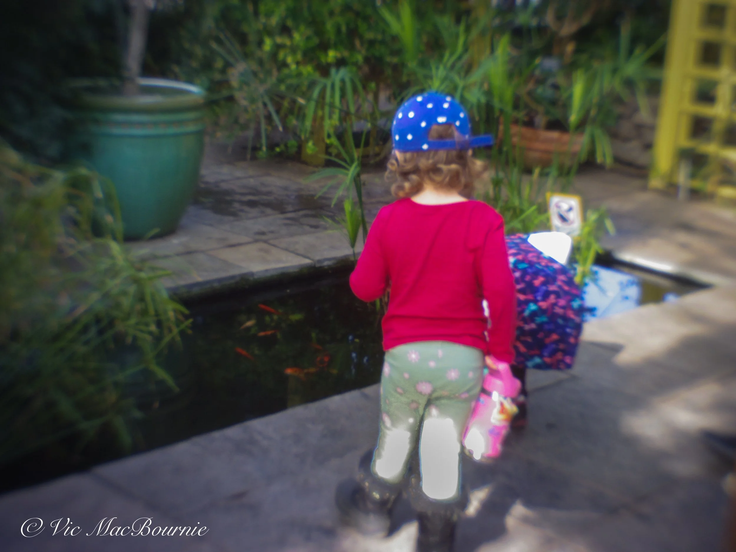 Pentax Q and Shield Mount lens: A lomography dream combo? — FERNS ...