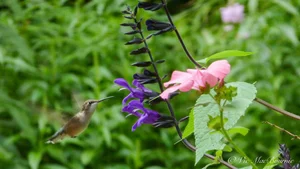 Lumix DMC-ZS8 review: Travel camera you need to try out today — FERNS ...