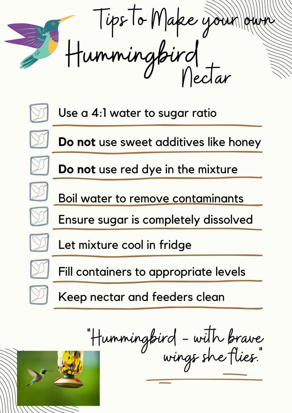 How to Make Nectar (sugar water) for Hummingbirds — FERNS & FEATHERS