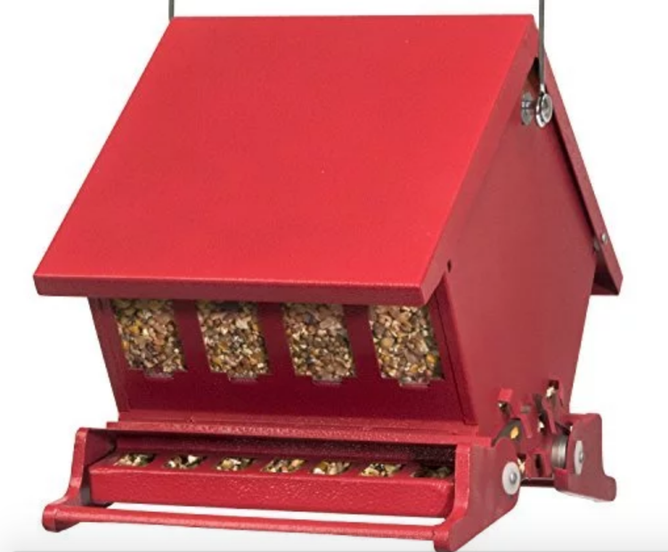 Large bird feeders can save money and get big results — FERNS & FEATHERS