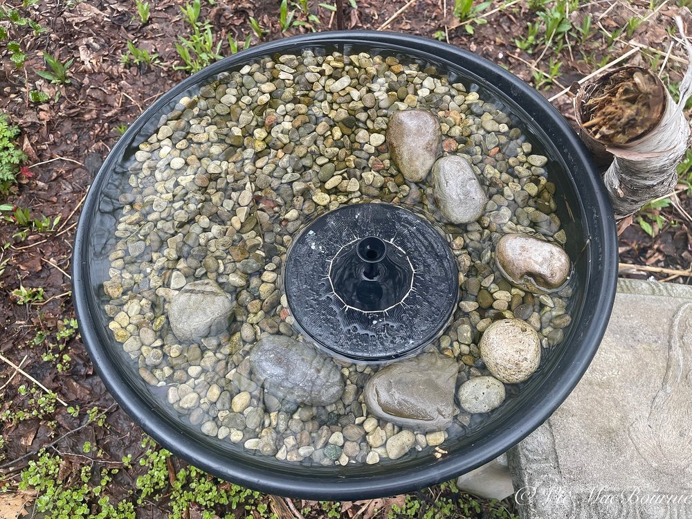 Simple solar panels add sparkle to bird baths — FERNS & FEATHERS