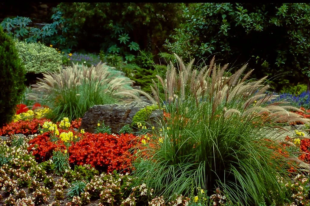 Wolverine scanner review: Focus on favourite slides and negs — FERNS ...