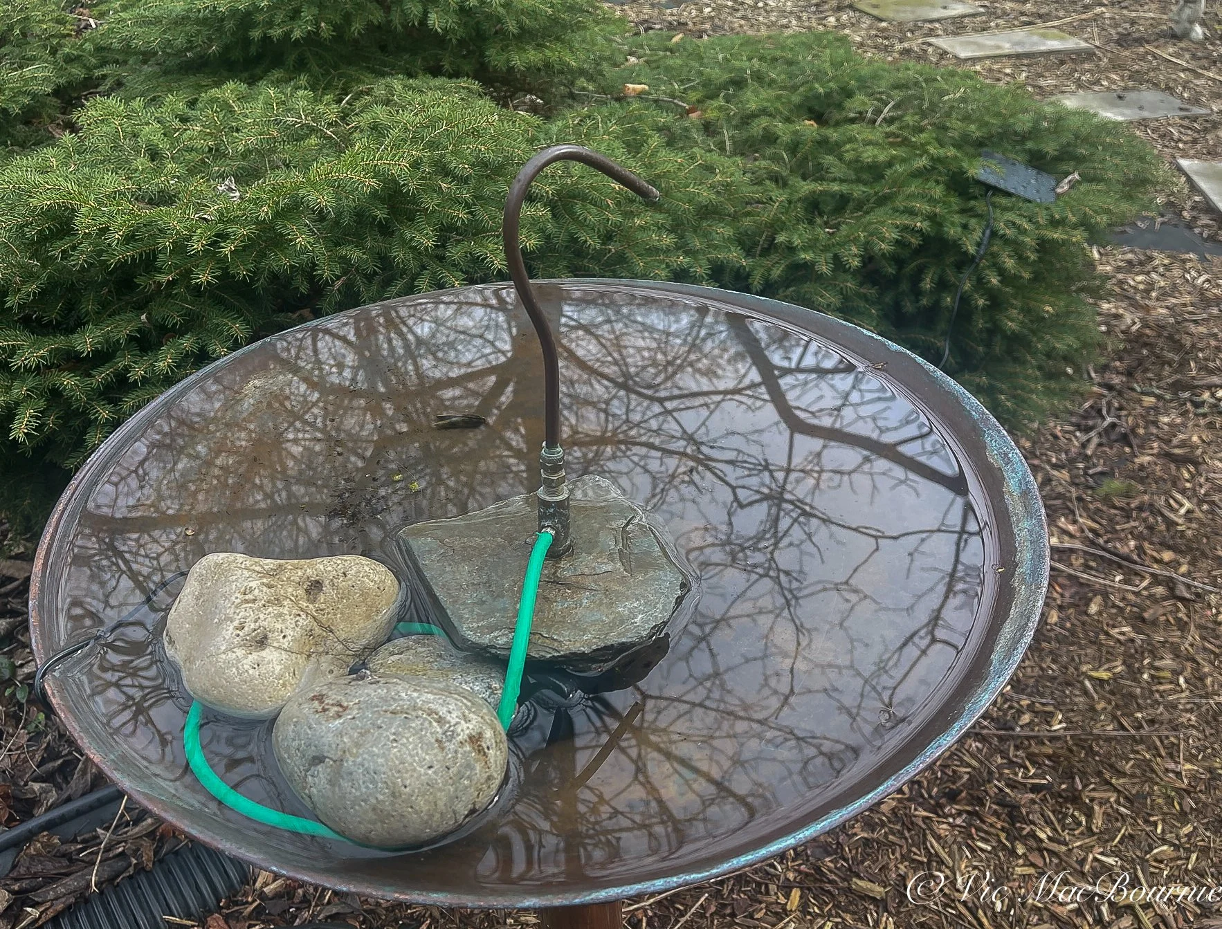 Simple solar panels add sparkle to bird baths — FERNS & FEATHERS