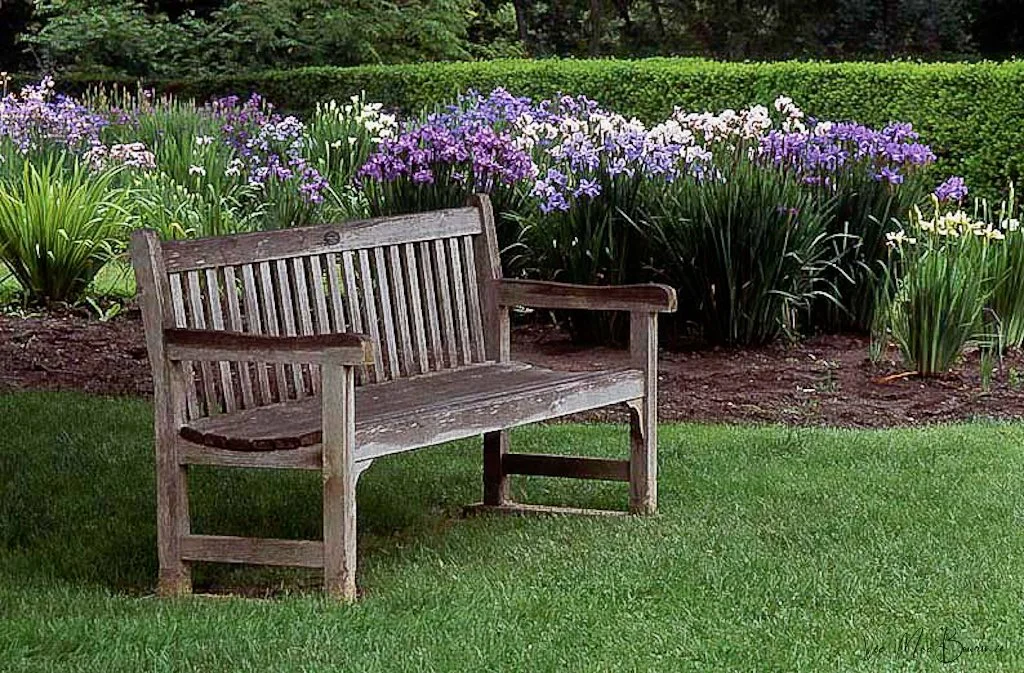 The Garden Bench as art (How to place this key garden accessory ...