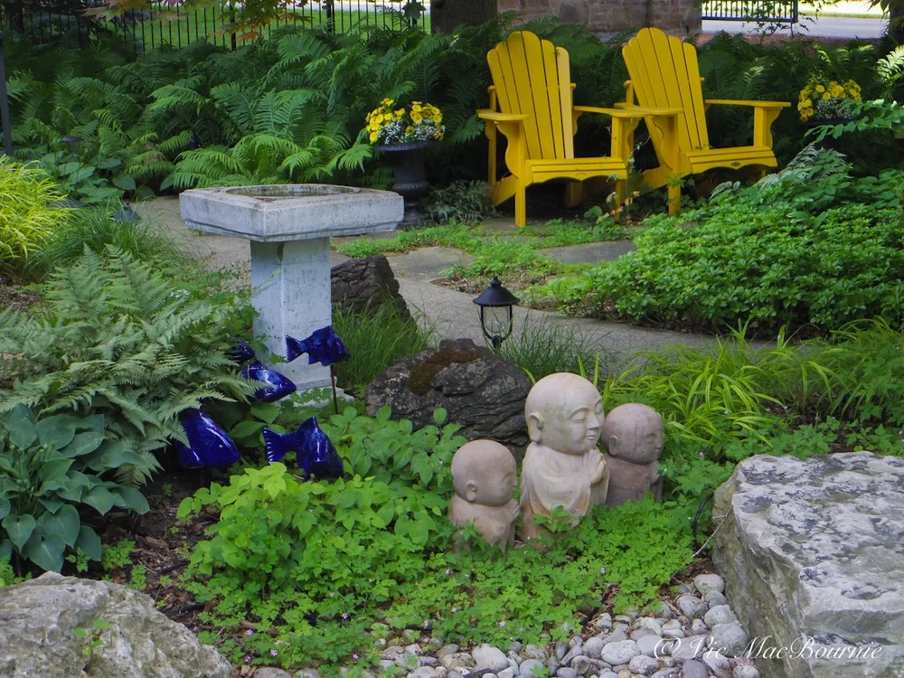 What's the best camera and lens for garden photography — FERNS & FEATHERS