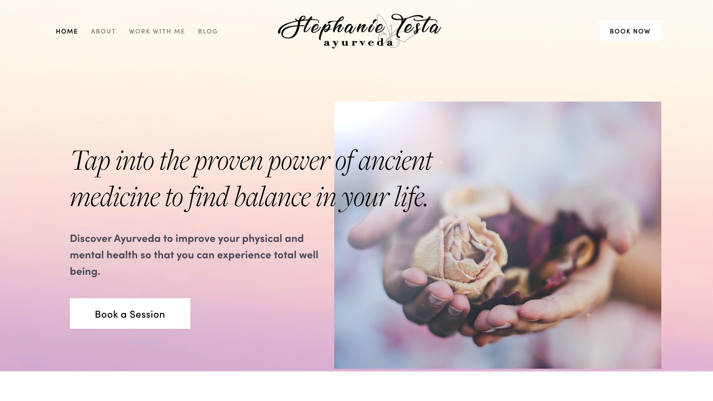 Web Designer Portfolio Seed to Star — Web Design Seed to Star