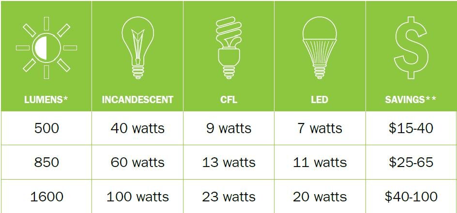 Everything you ever wanted to know about light bulbs. — Color + Design ...