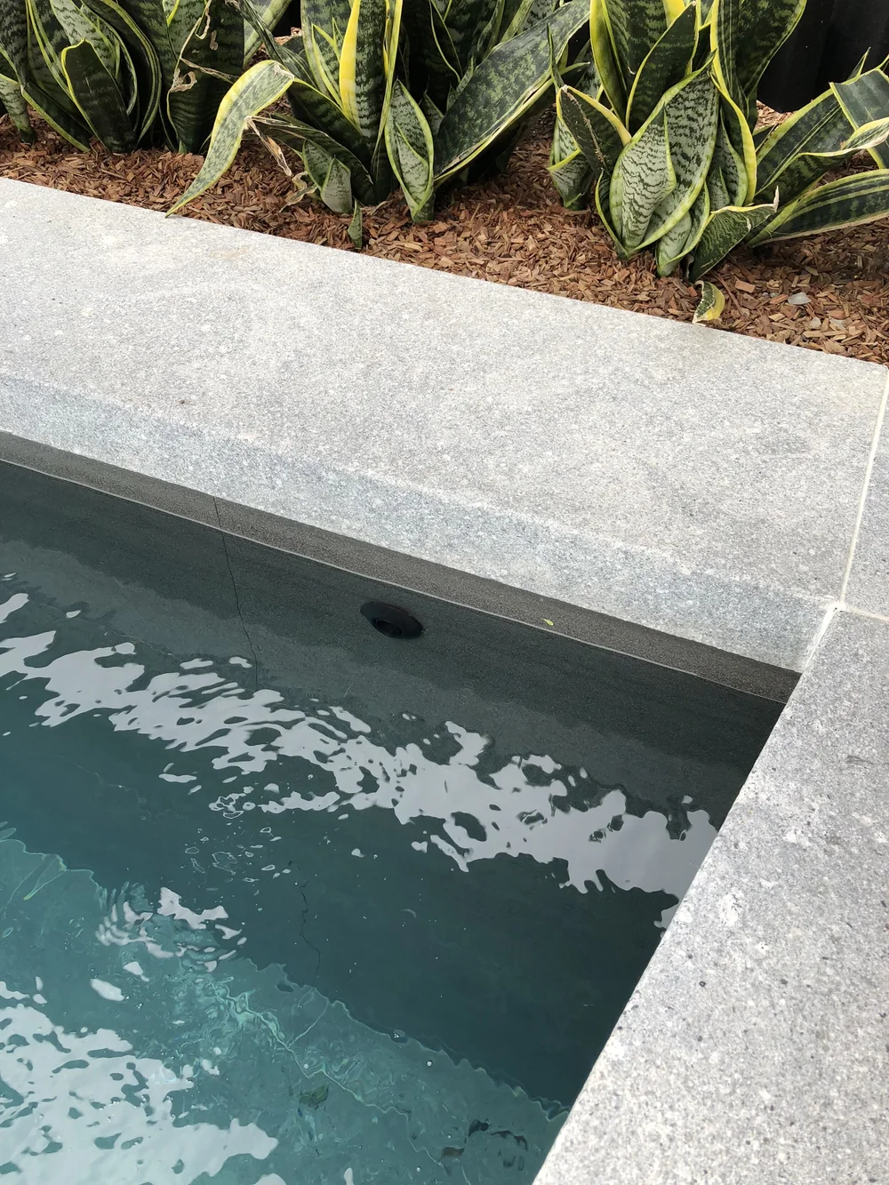Raven Granite - Stone Collective