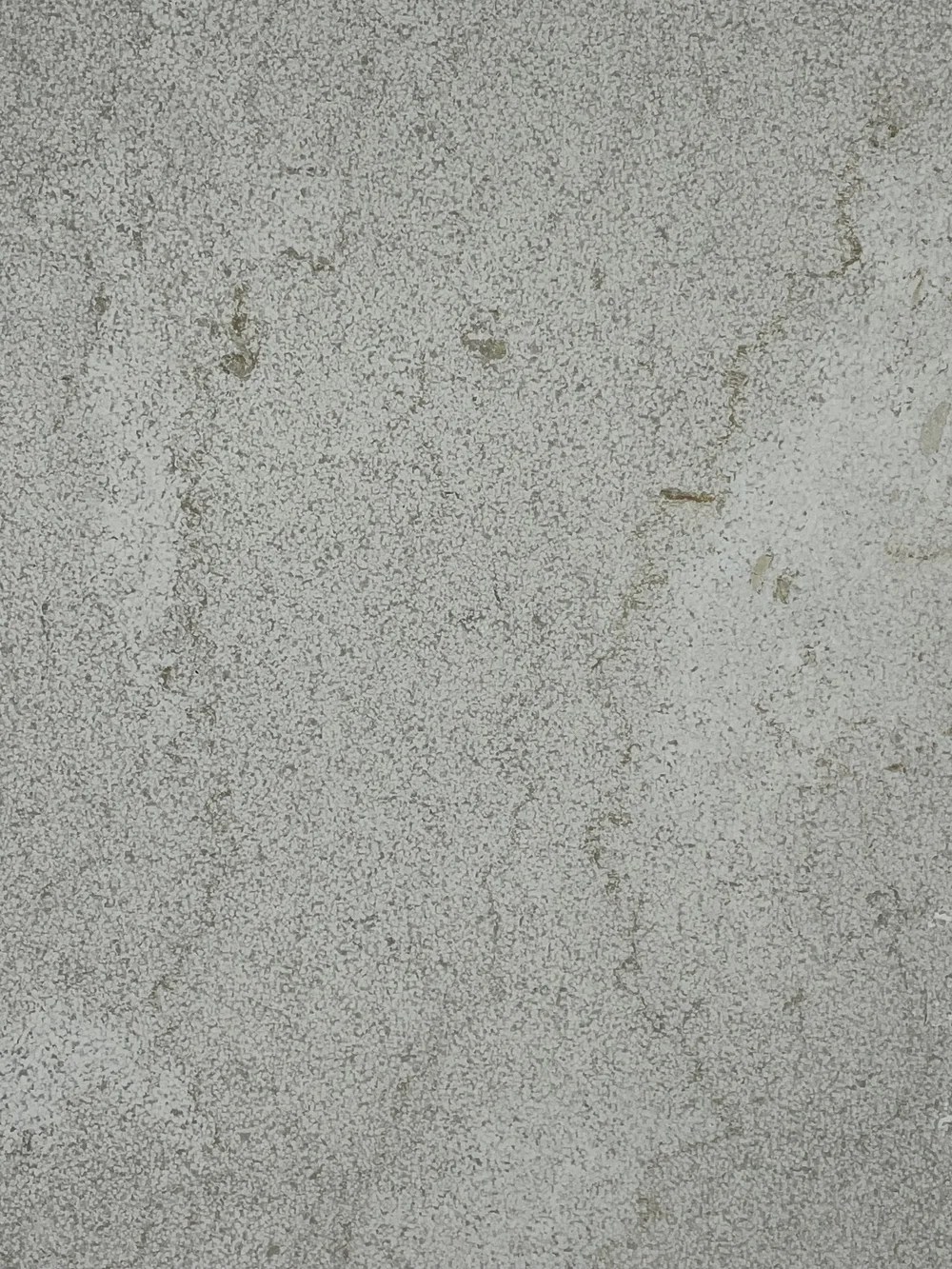 Belgium Blue Stone Paving : Natural stone pavers by Stone Collective ...