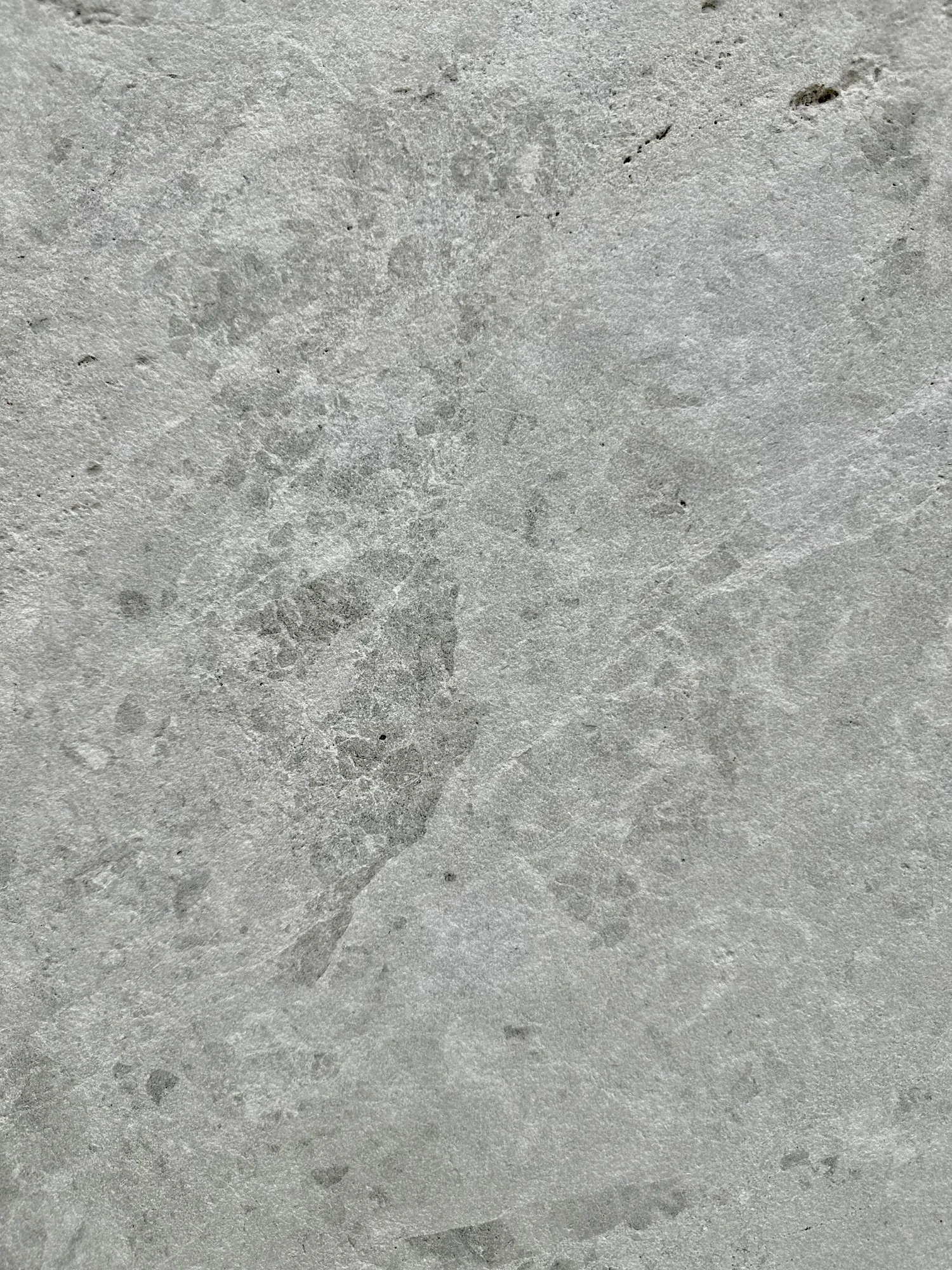 Grigio Orsola Marble - Stone Collective