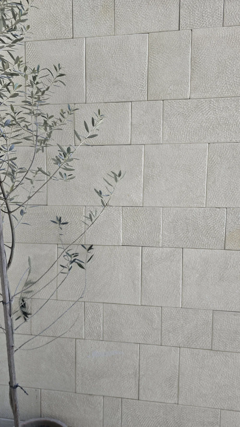 Salto Oyster Limestone Cladding - Stone Collective