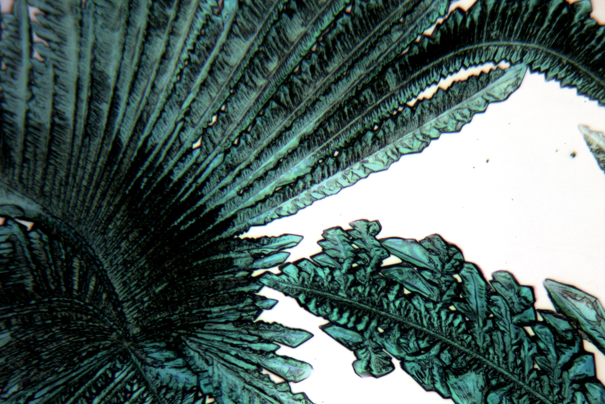 The science of Art; and the art of Science. — We The Cool Magazine