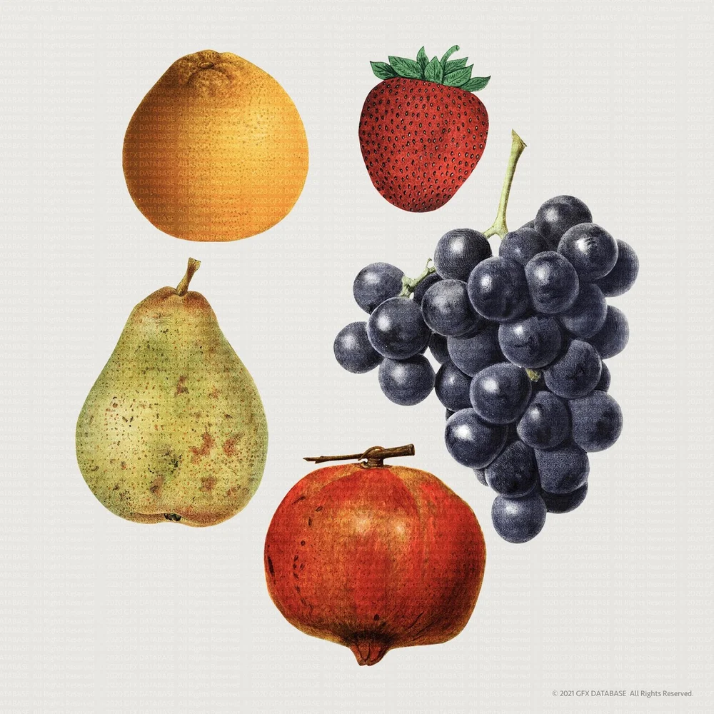 Vector Objects Pack V1 — GFX DATABASE