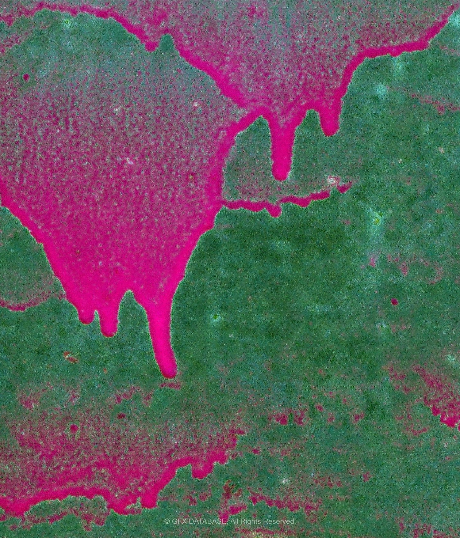 X10 Gradient Blots — GFX DATABASE