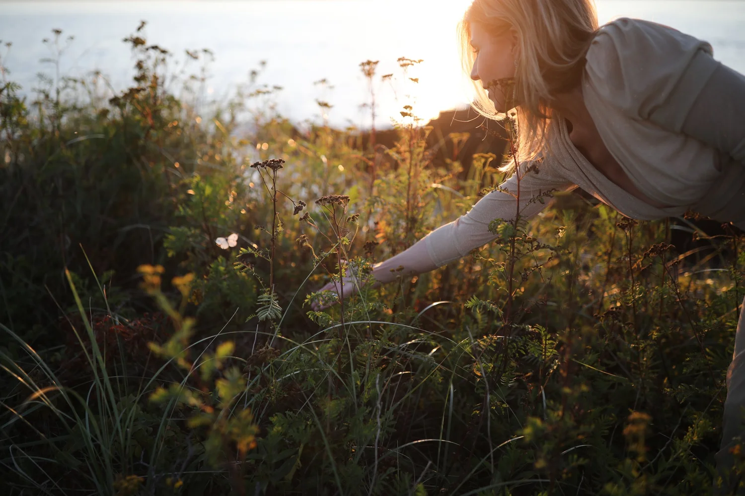 The Revelation Project