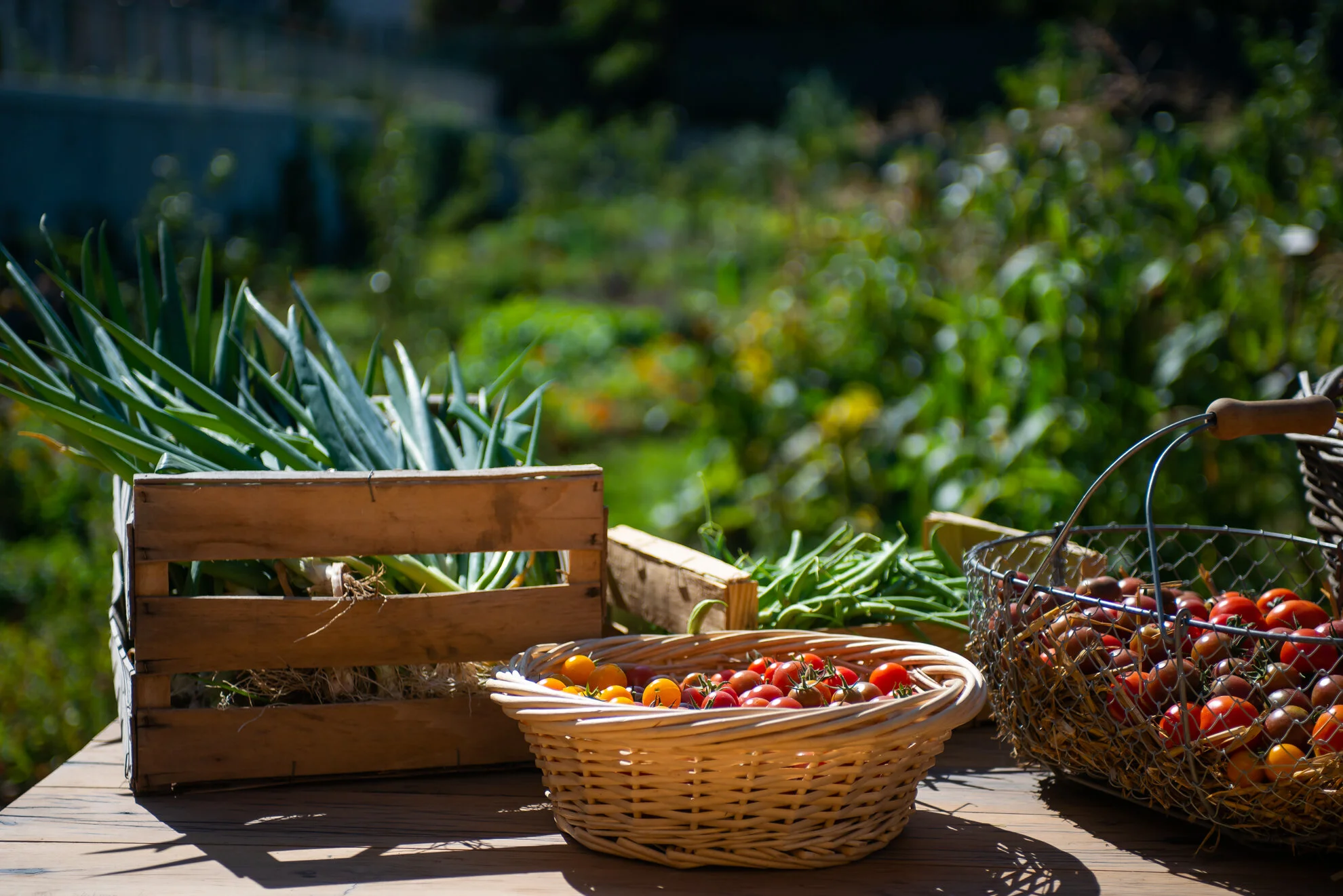 Vivez l'expérience — La Ferme Nature & découvertes