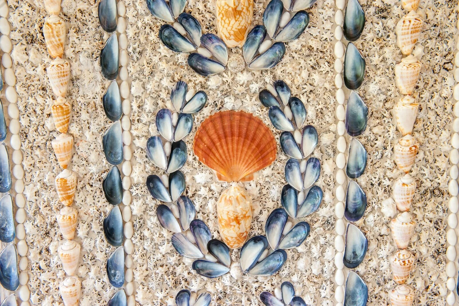 Our Story & Contact — Linda Fenwick Shell Art & Design