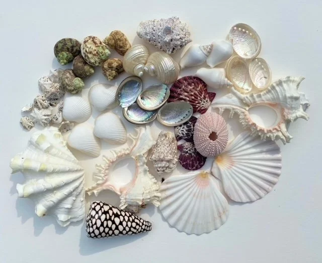 Fountain Surround, Lyford Cay Country Club, Bahamas — Linda Fenwick ...