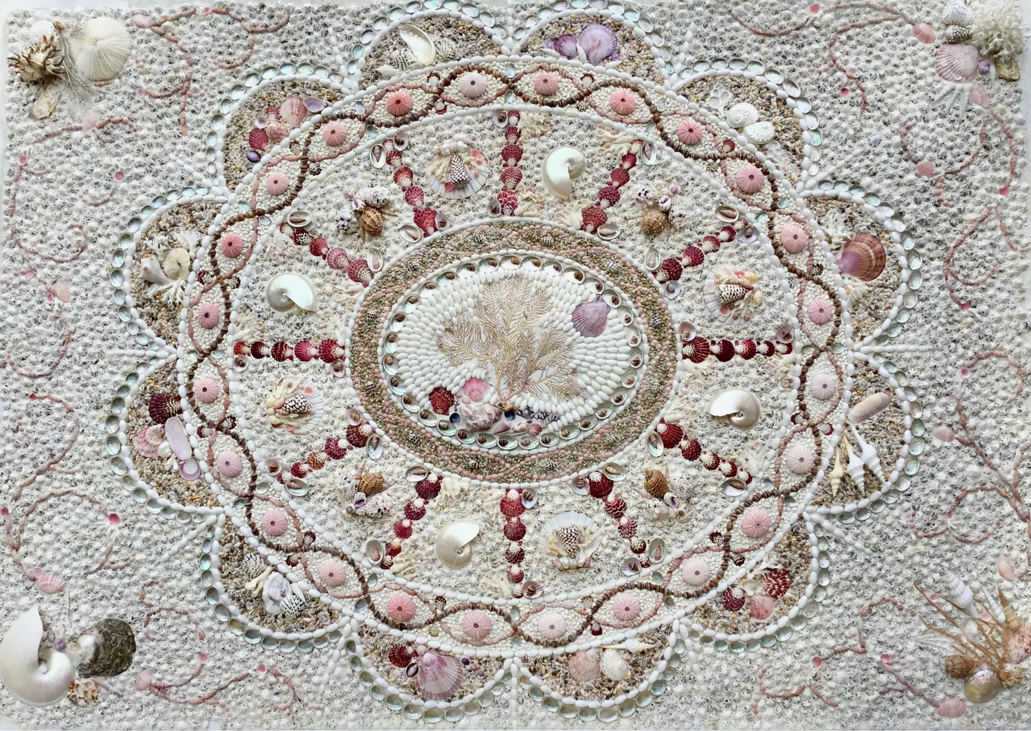 Linda Fenwick Shell Art & Design