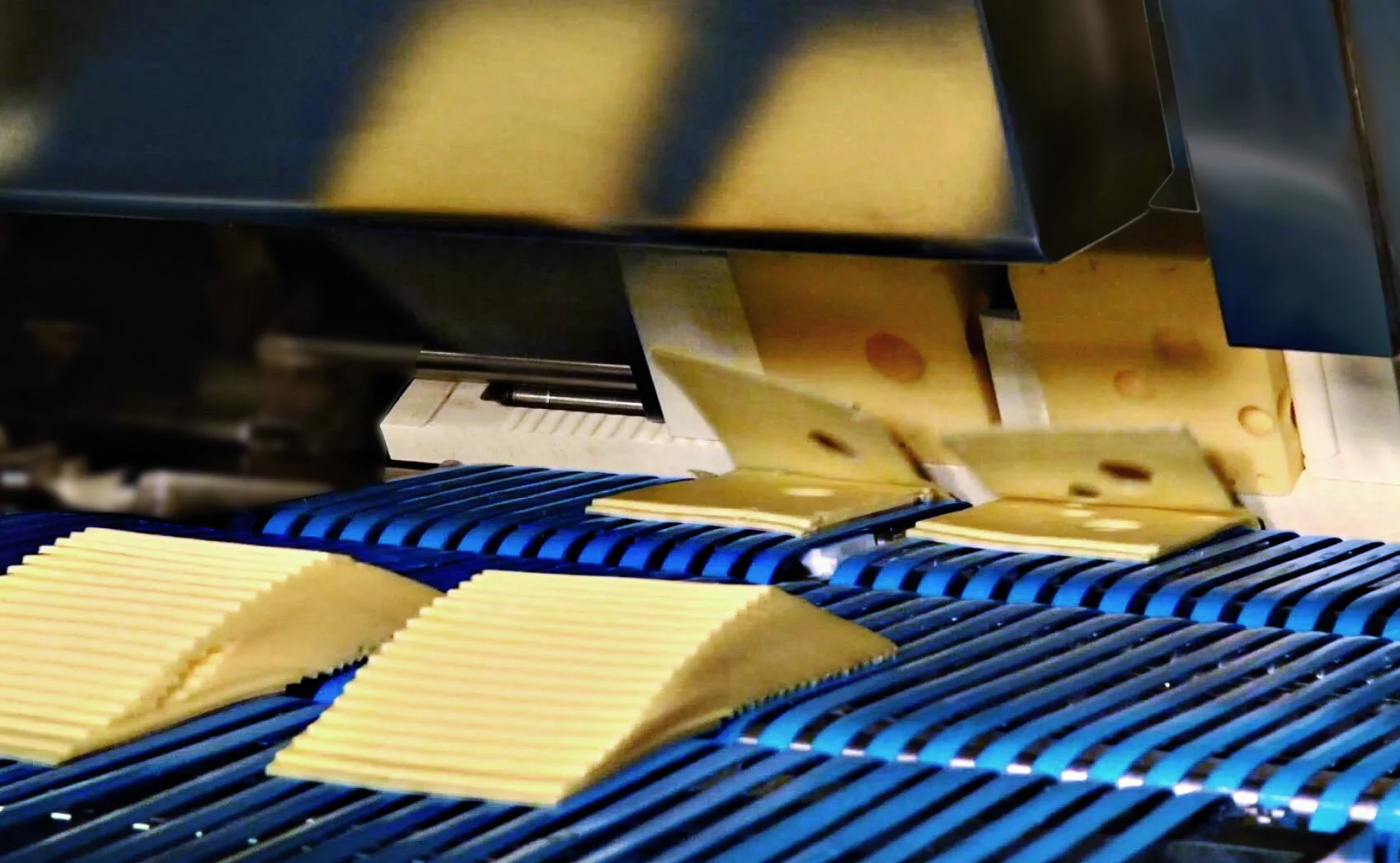 Schiwa Cheese Slicing and Block Cutting — Technik Food Systems