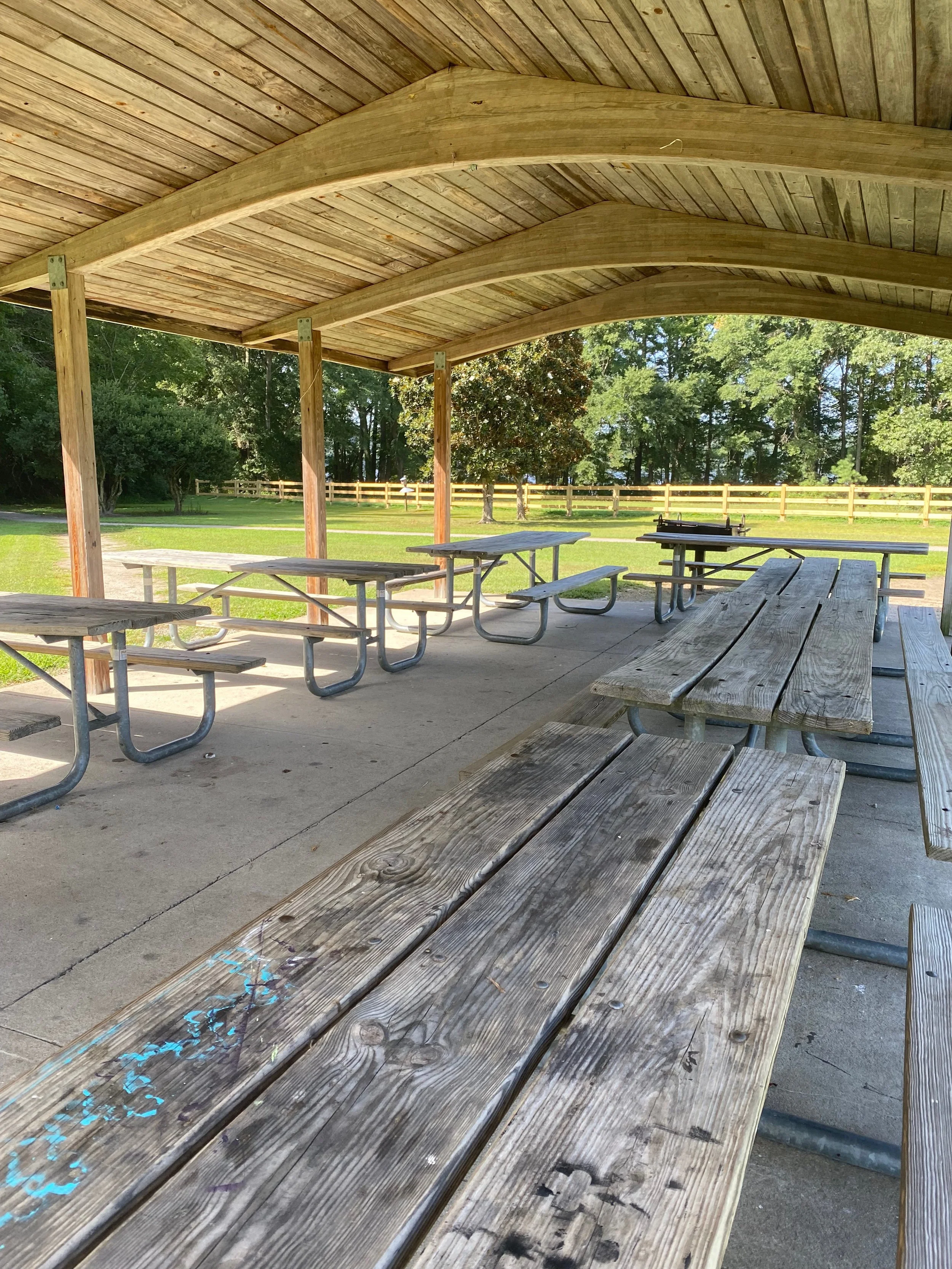 Lake Benson Park — Marlana Semenza Photography