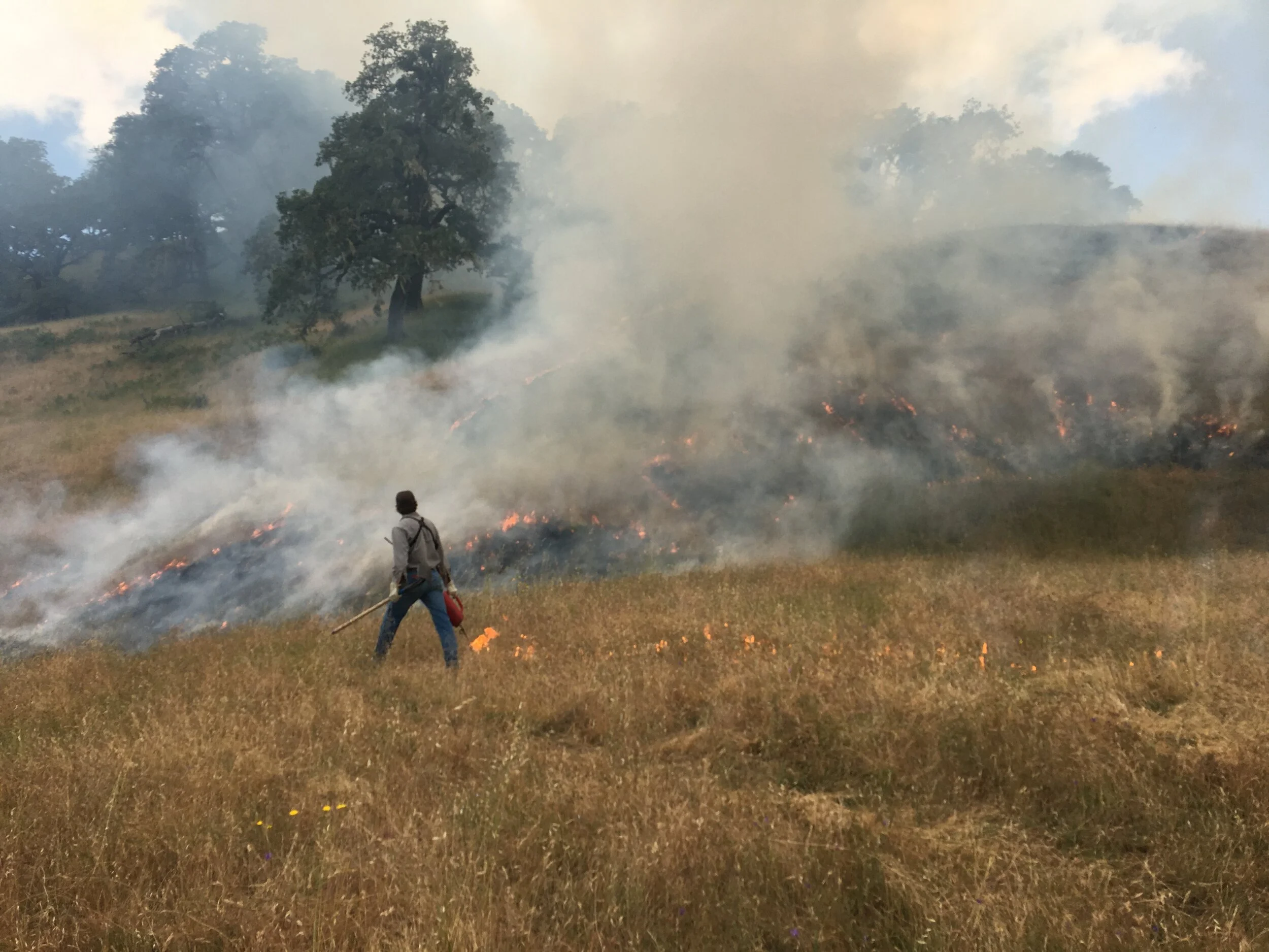 Planning an Rx Fire Burn — California PBA