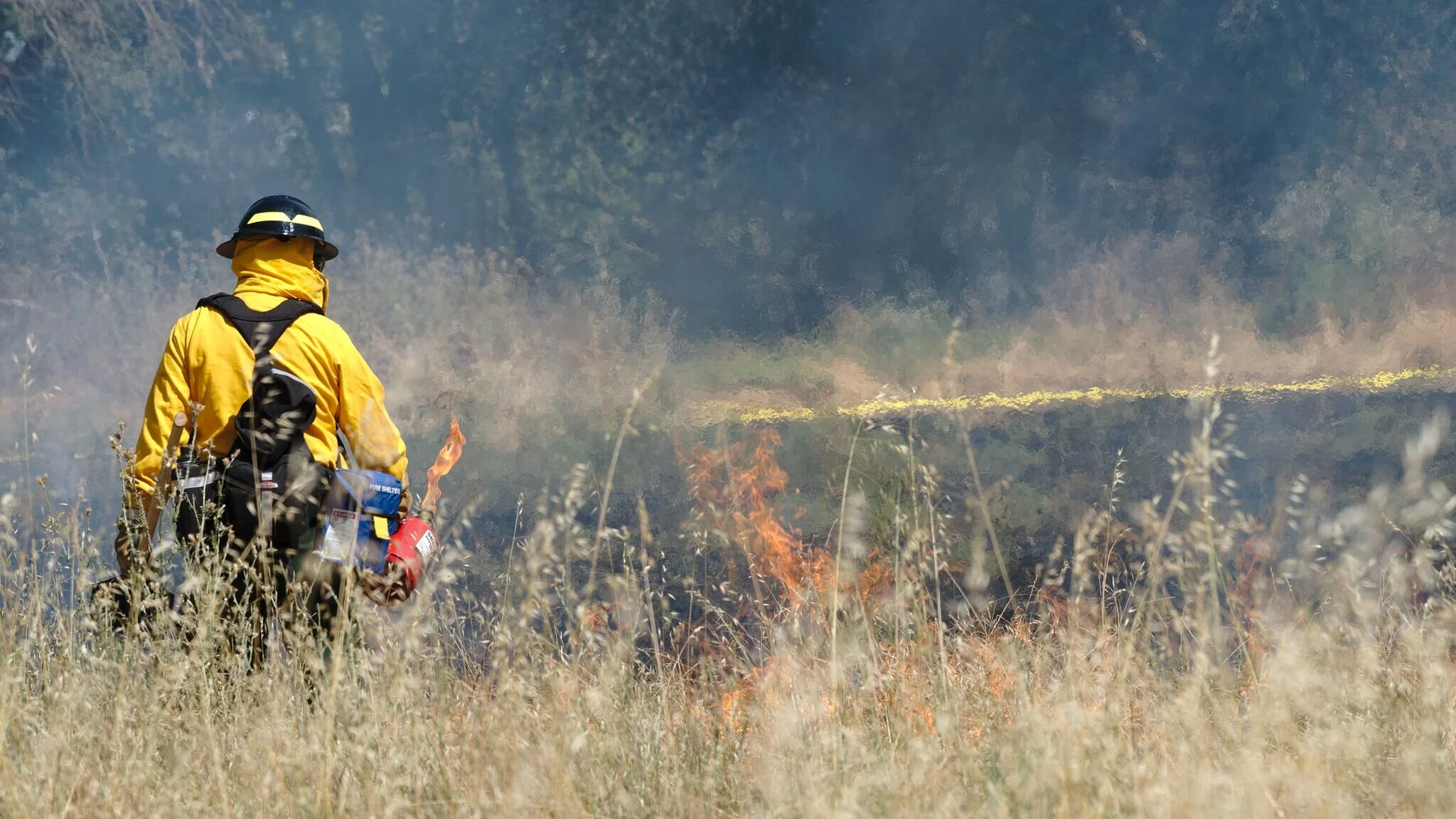 Planning an Rx Fire Burn — California PBA