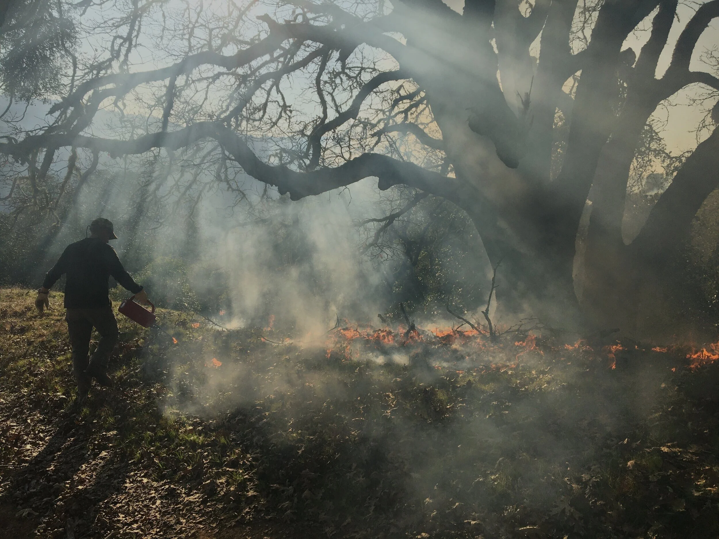 California Prescribed Burn Associations Cal PBA