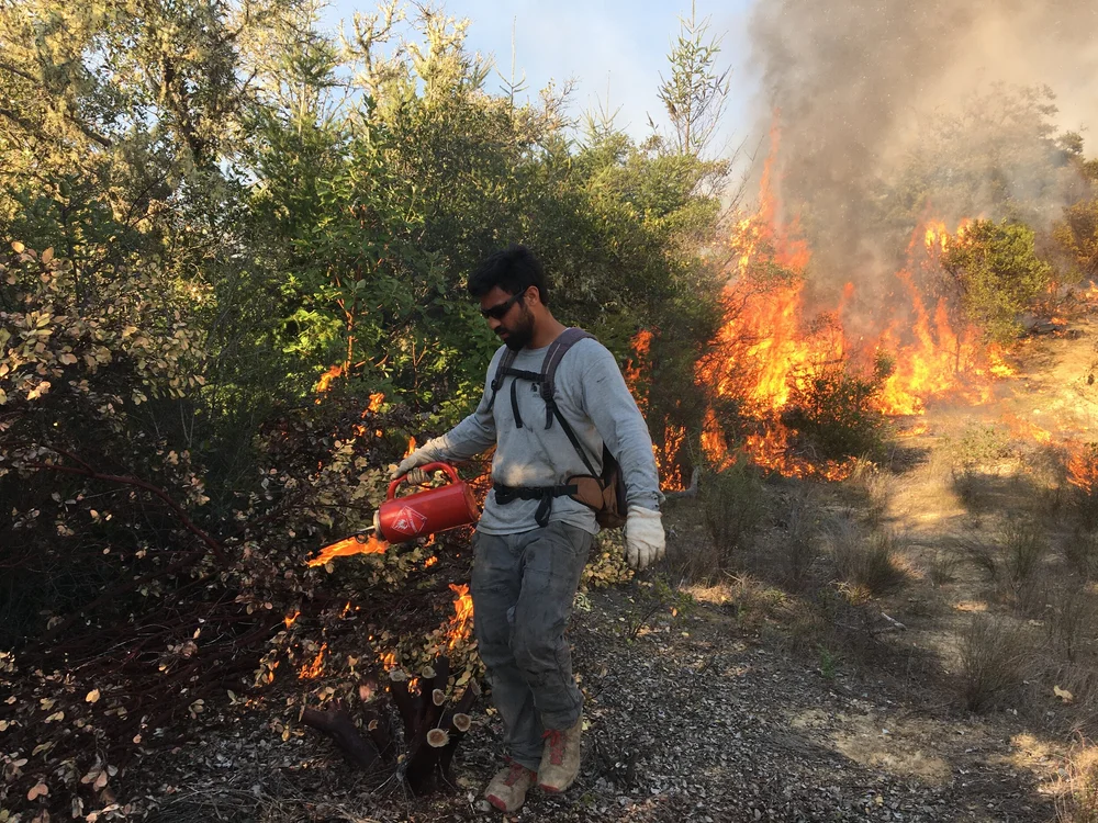 Rx Fire in CA Chaparral and Coastal Scrub — California PBA