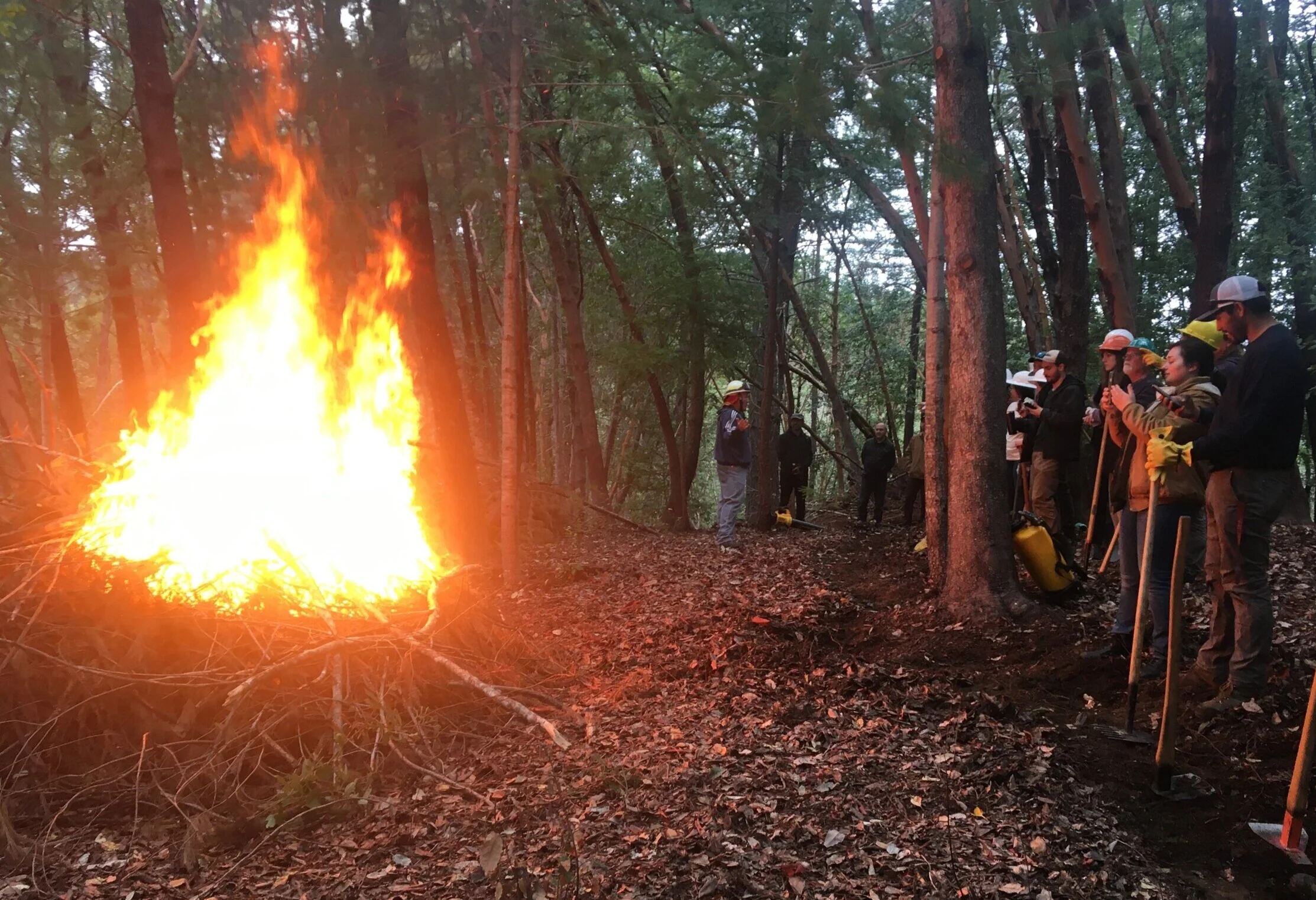 Rx Burn Training — California PBA