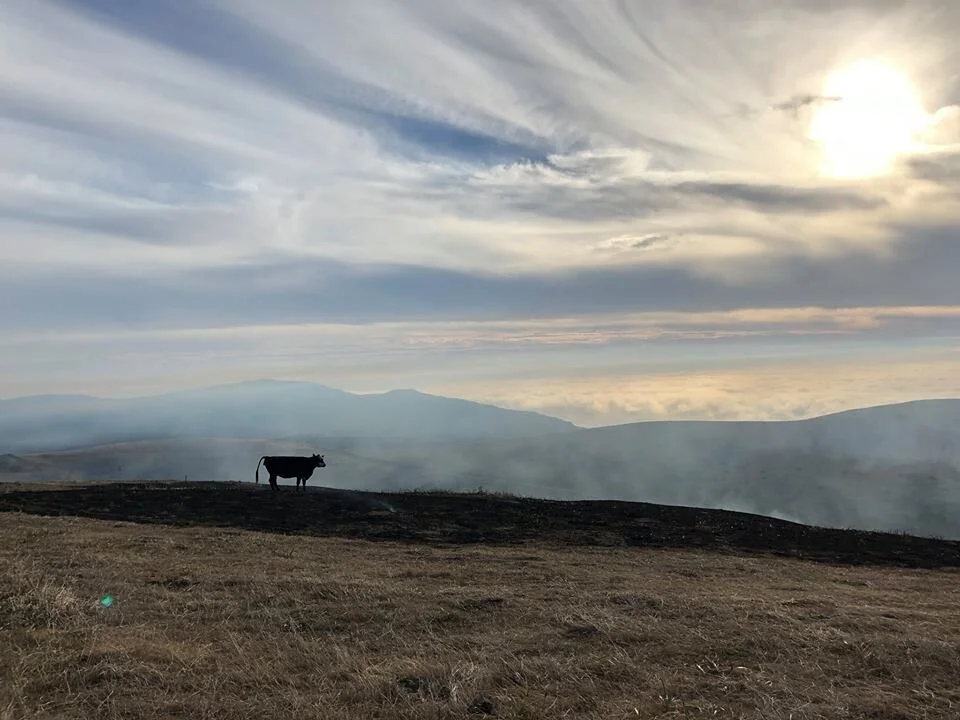 Planning an Rx Fire Burn — California PBA