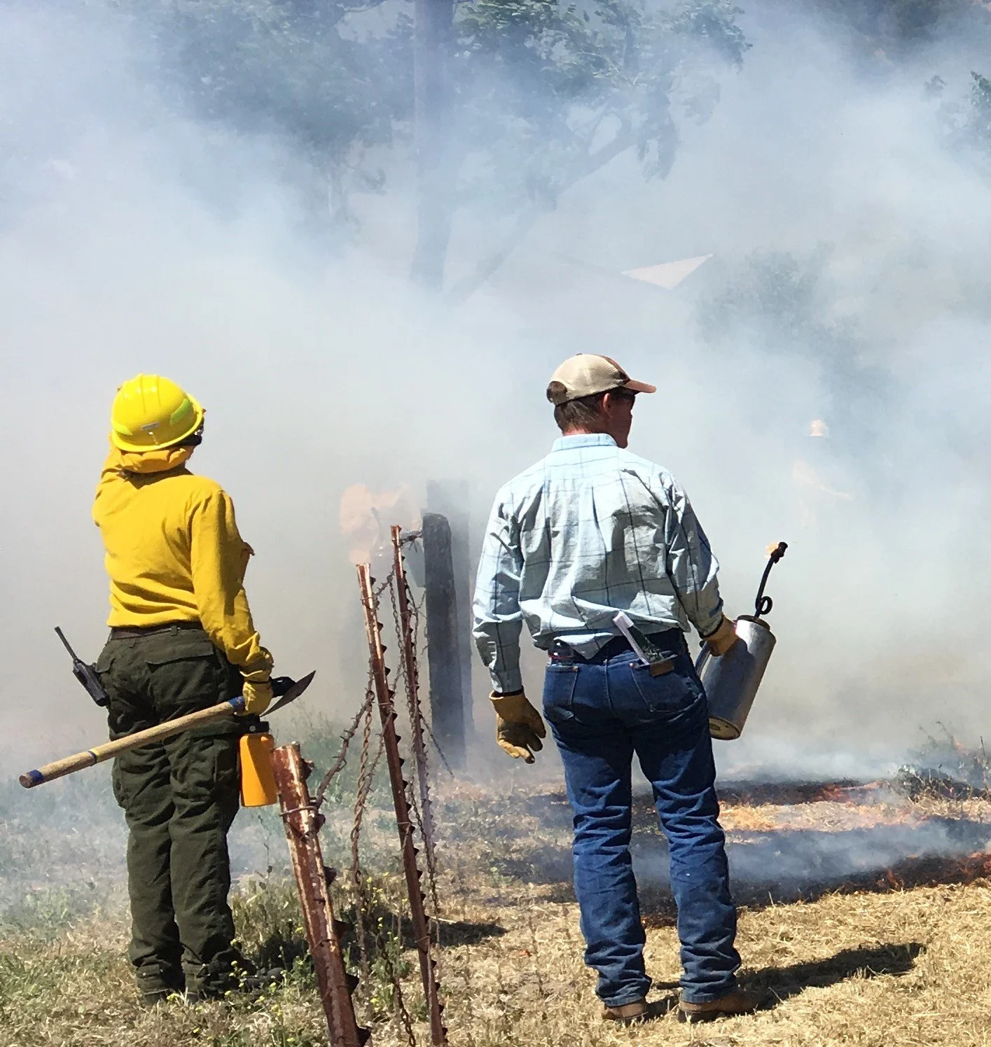 Why is Rx Fire Safe? — California PBA
